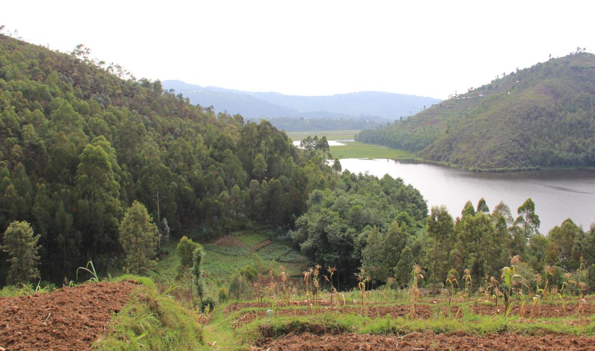 WRI Africa's Strategic Plan 2023-27 | WRI Africa